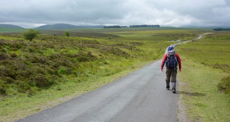 Walk This Way: How Walking Increases Empathy and Awareness | Hippo Reads
