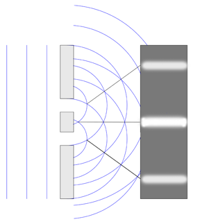 Quantum Mechanics and Buddhism | Hippo Reads